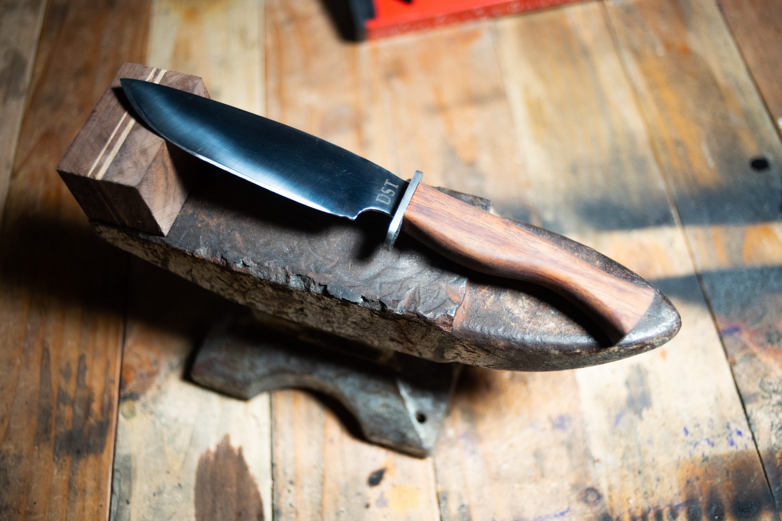 Dana St. Amand Co. – Dana St. Amand Co.